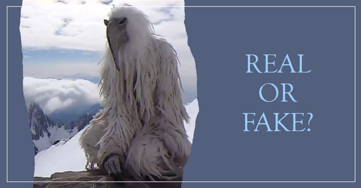Opium Bird Real or Fake? (Revealed) - Best Lagos Media Group